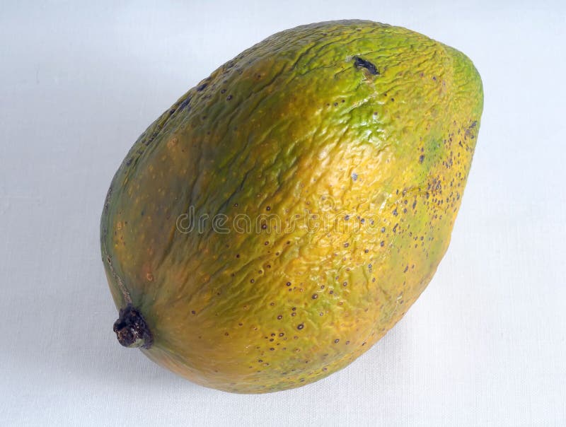 Ripe Fruit stock image. Image of mango, health, colored - 245833451