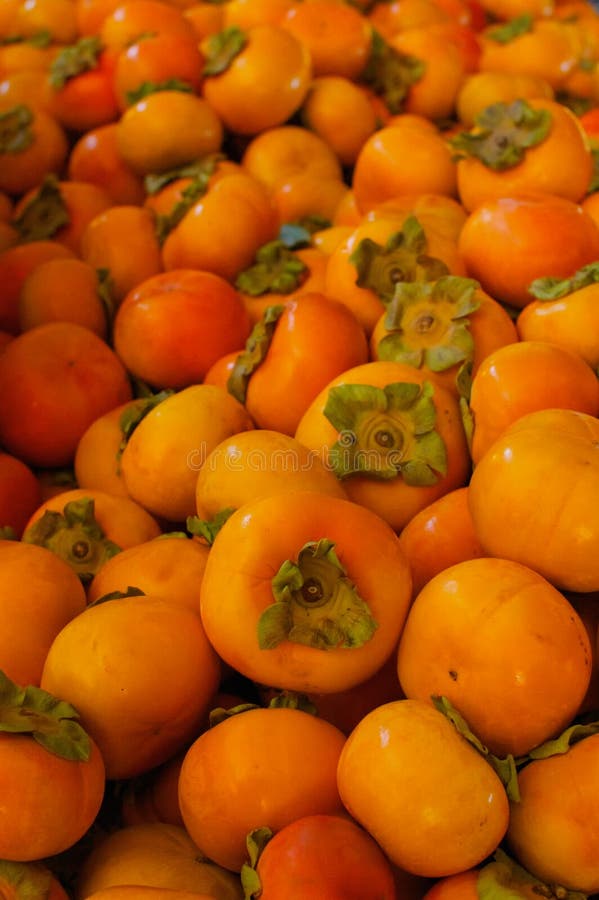 Very Ripe Persimmons stock image. Image of farm, china - 11541187