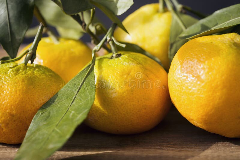 Very Ripe and Fresh Berries of Red Gooseberries. Stock Photo - Image of ...