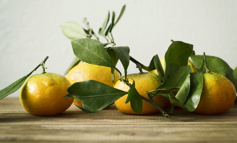 Very Ripe and Fresh Berries of Red Gooseberries. Stock Photo - Image of ...