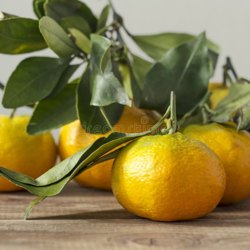 Very Ripe and Fresh Berries of Red Gooseberries. Stock Photo - Image of ...