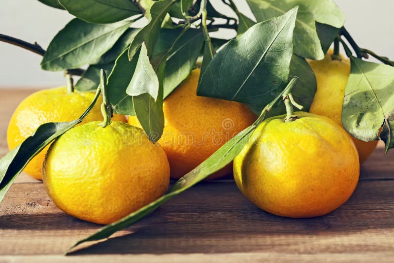 Very Ripe and Fresh Berries of Red Gooseberries. Stock Photo - Image of ...