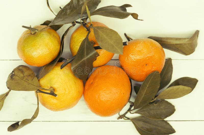 Very Ripe and Fresh Berries of Red Gooseberries. Stock Photo - Image of ...
