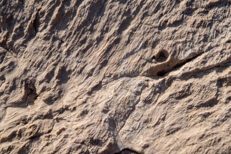 Very Rough Limestone Surface As Texture or Background Stock Photo ...