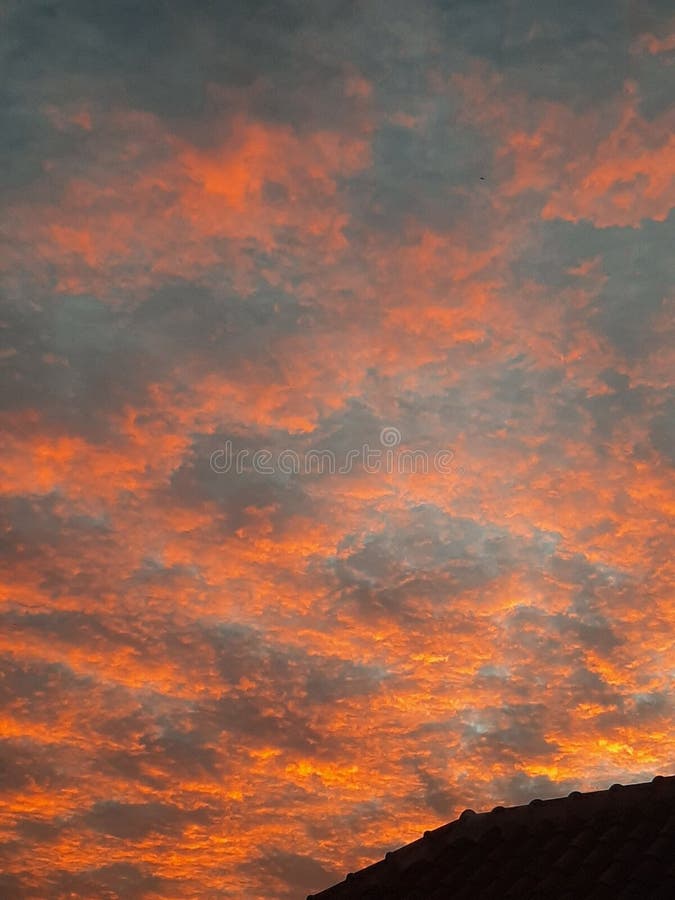 A very scary sunrise stock photo. Image of quail, scary - 229895628