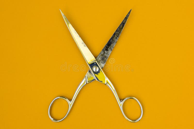 Very Sharp Retro Professional Tailor Scissors Stock Image - Image of ...