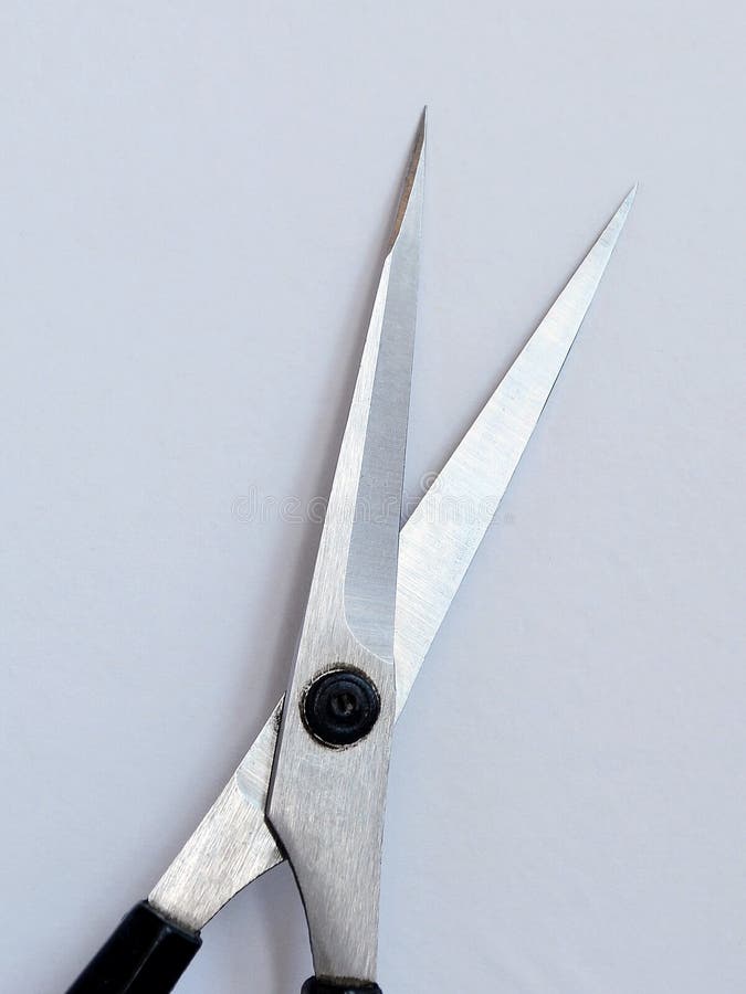 Very Sharp Tips of a Tailor`s Scissors on a Neutral Background Stock ...