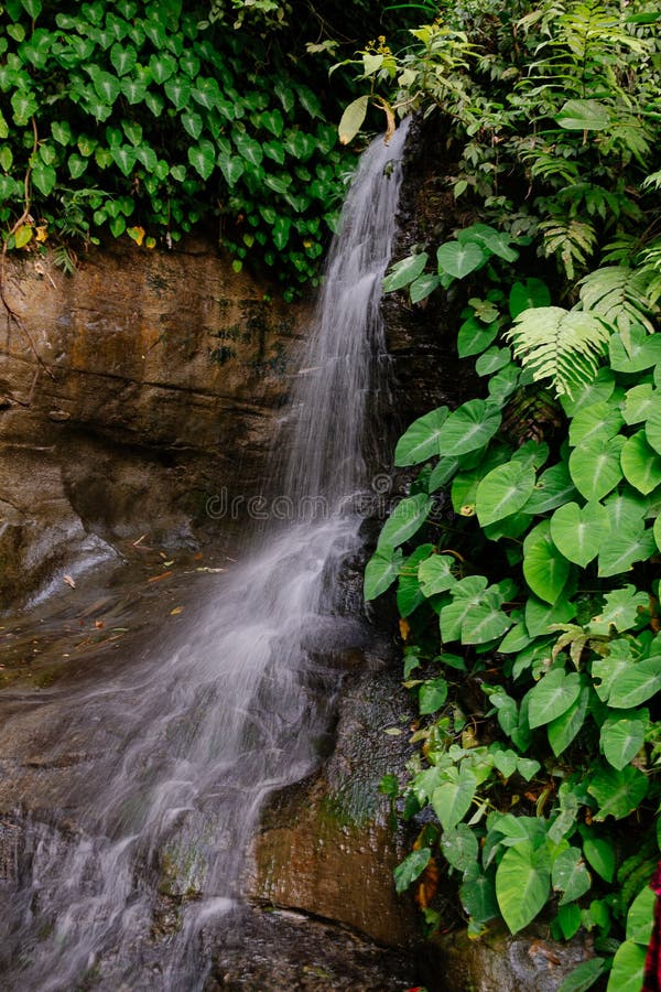 A Very Simple and Beautiful Waterfall Flowing Stock Photo - Image of ...