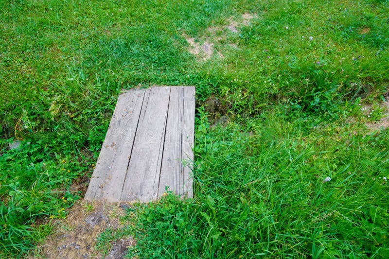 Very Small Bridge Made of Planks on a Green Lawn, Close View Stock ...