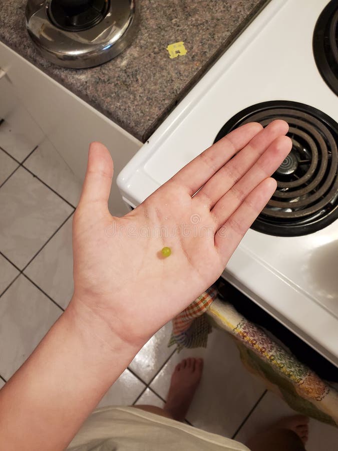 Very small grape stock image. Image of tattoo, pattern - 210247137