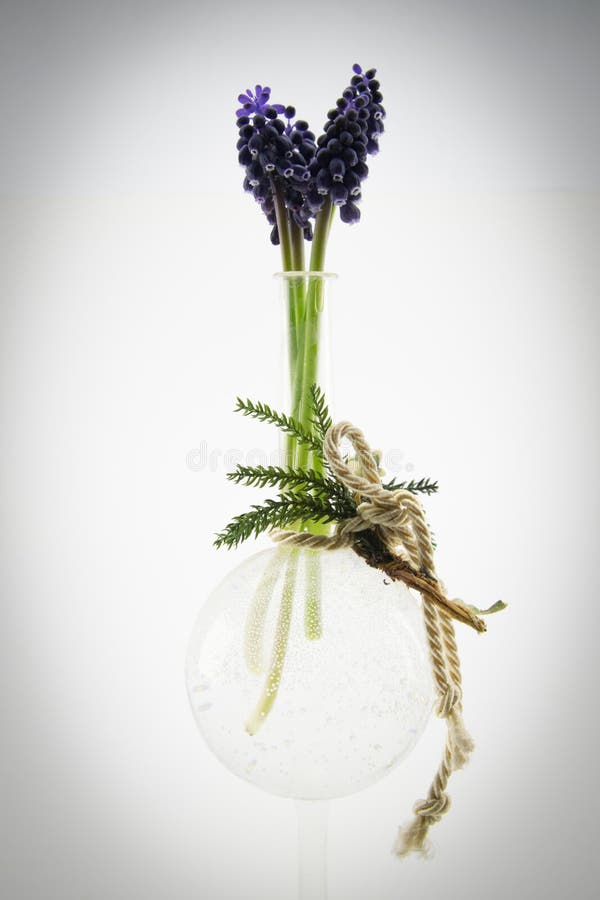 Very Small Purple Flowers in Crystal Vase Stock Image - Image of life ...