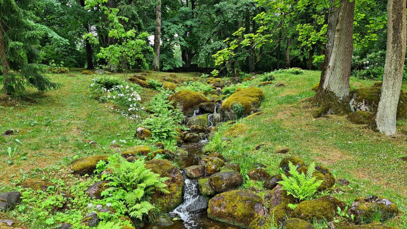 Very Small Stream Lined with Stone Boulders Flows through the Forest in ...