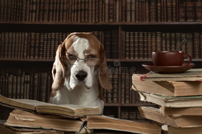 822 Dog Reading Books Stock Photos - Free & Royalty-Free Stock Photos ...