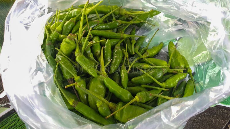 Very Spicy Green Cayenne Pepper in a Plastic Bag Stock Photo - Image of ...