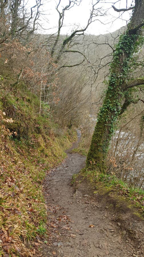 A Very Steep Walk Down Hill Stock Image - Image of making, walk: 272647595