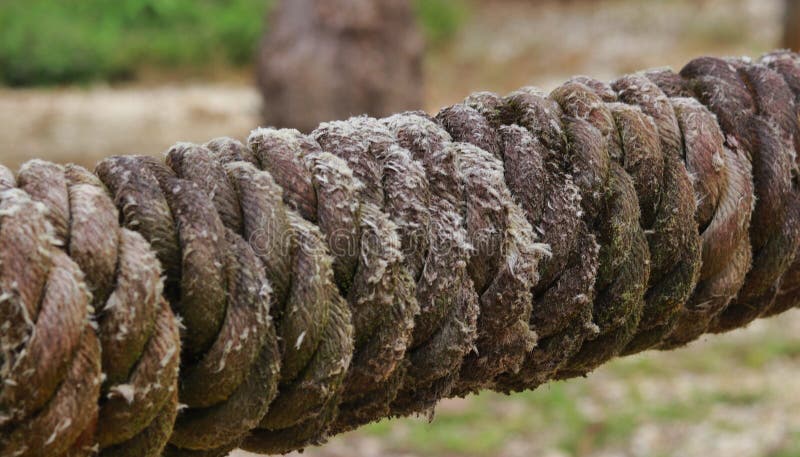 Very Strong and Sturdy Rope Knot Stock Photo - Image of rock, food ...