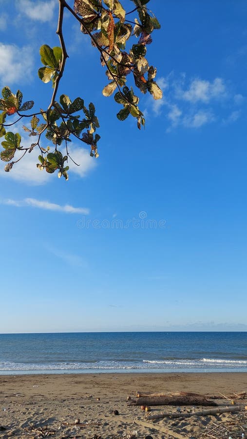 A Very Sunny Day beside a Beautiful Beach Stock Photo - Image of sunny ...