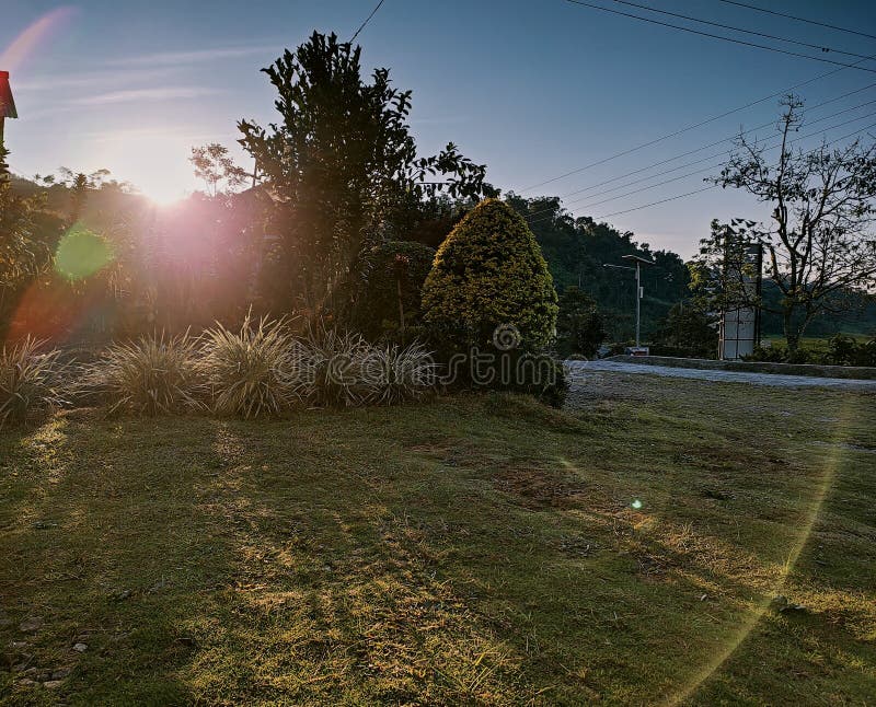 Very sunny morning stock image. Image of grass, autumn - 224117143