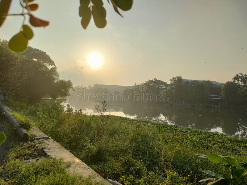 Very Sunny Morning by the River Stock Photo - Image of light, grass ...