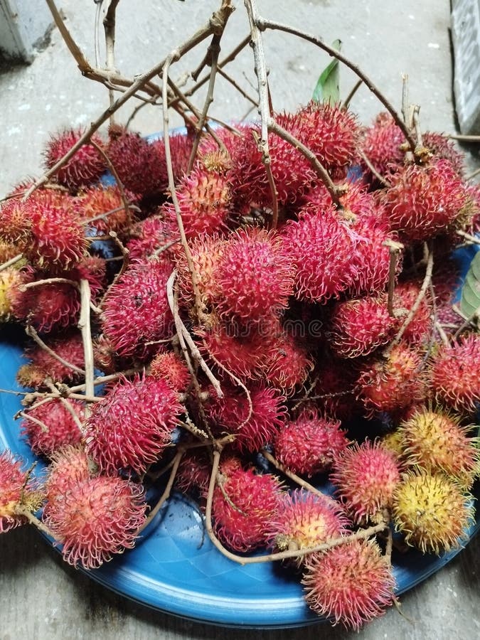 Very Sweet Rambutans Fruit. Stock Photo - Image of kinds, rambutan ...