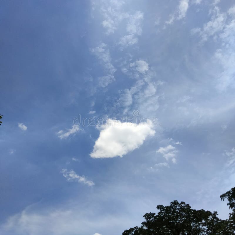 Very Unique Fish-shaped Clouds in the Sky Stock Photo - Image of fish ...