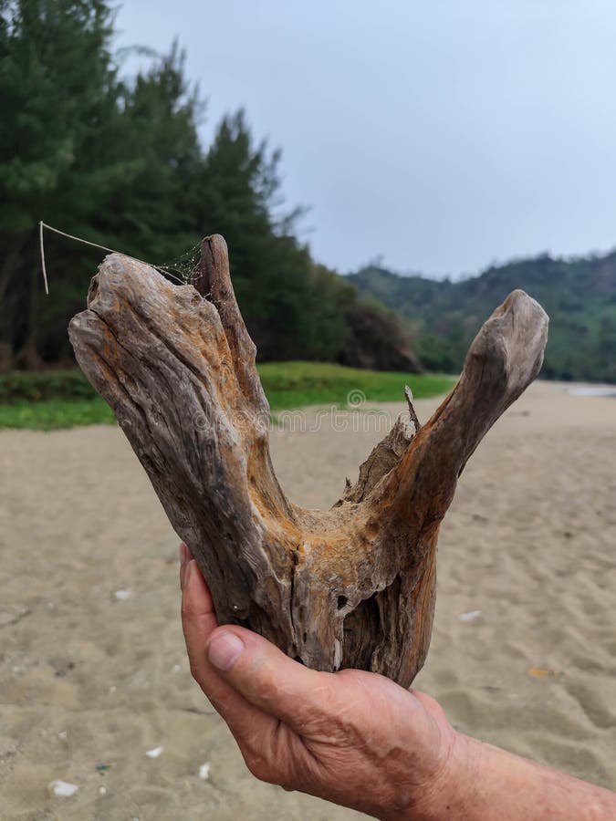 Very Unique Wood Texture Shape Stock Image - Image of abstract ...