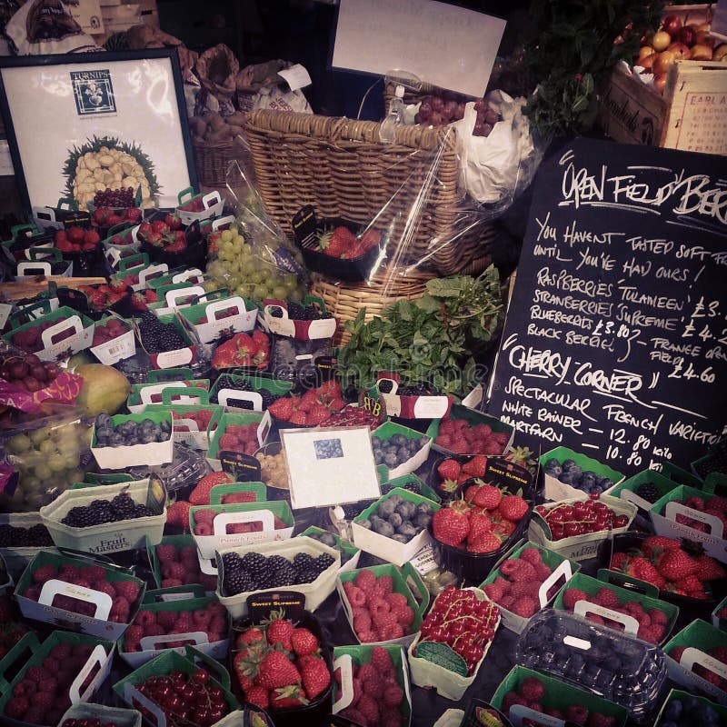 Very very berry editorial photo. Image of mixed, berries - 43313791