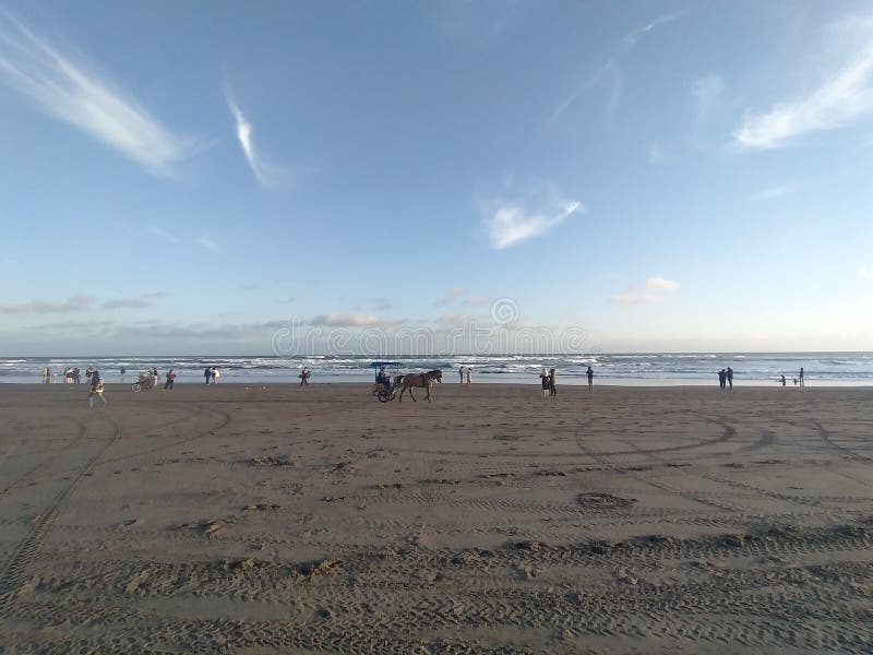 Very wide beach view stock photo. Image of wave, wide - 202676210