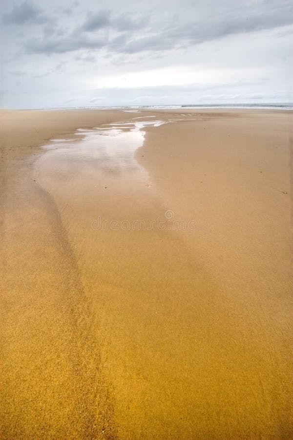 Very wild ocean beach stock photo. Image of track, textured - 2788638