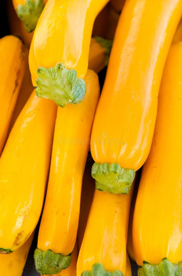 Very Yellow stock photo. Image of cooking, glow, farm - 6058072