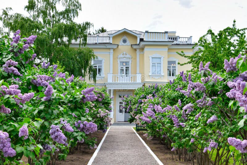 Lilac Garden in the Sholokhov Estate in Vyoshenskaya Village Stock ...