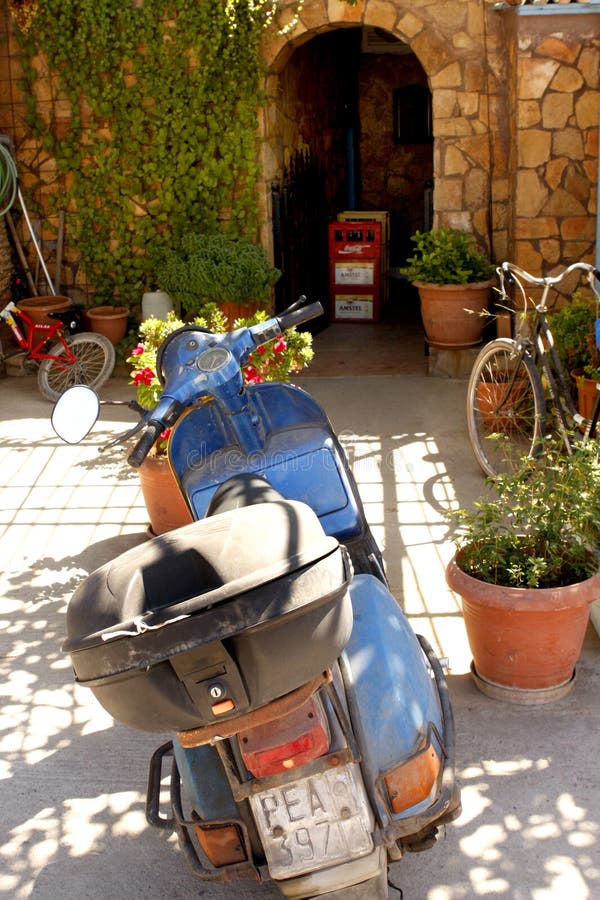 Vespa Azul En La Naturaleza Imagen de archivo - Imagen de azul, flores ...