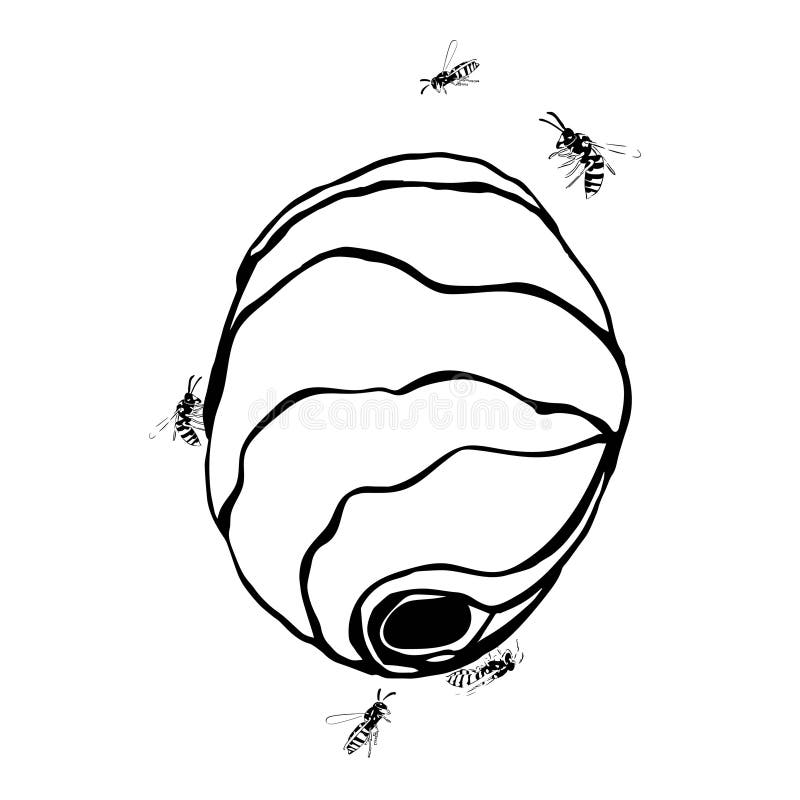 Angry Wasps Stock Illustrations – 26 Angry Wasps Stock Illustrations ...