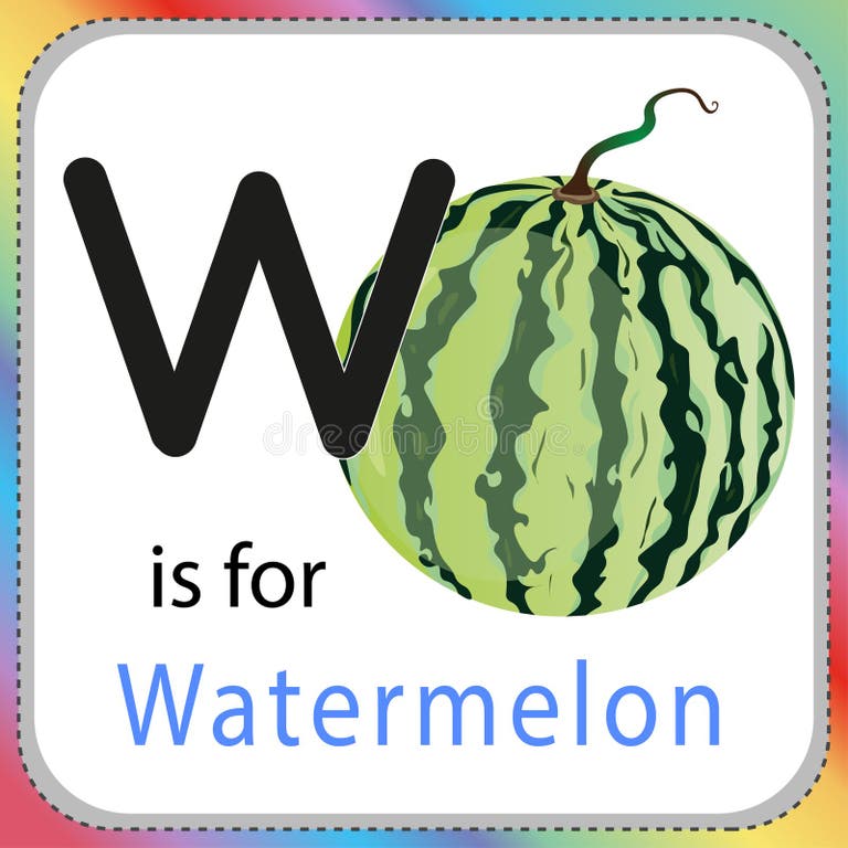 Alphabet Flashcards for Kids - Learning W is for Watermelon Stock ...