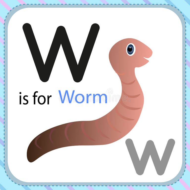 Flashcards for Kids - Learning Alphabet Capital Simple Letter W is for ...