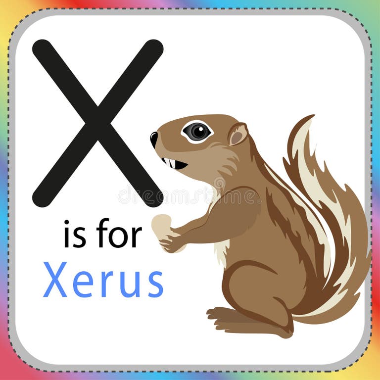 X Xerus Stock Illustrations – 106 X Xerus Stock Illustrations, Vectors & Clipart - Dreamstime