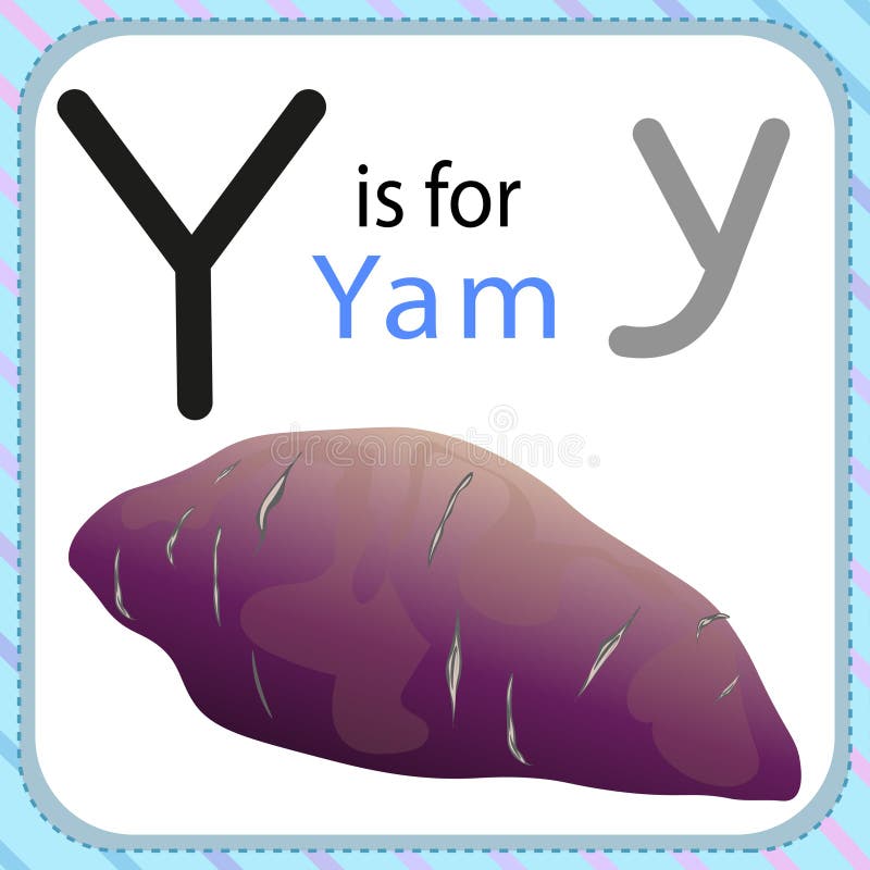 Flashcards for Kids - Learning Alphabet Capital Simple Letter Y is for ...