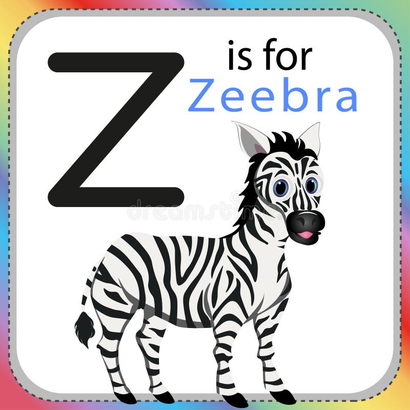 Alphabet Flashcards for Kids - Learning Z is for Zeebra Stock ...