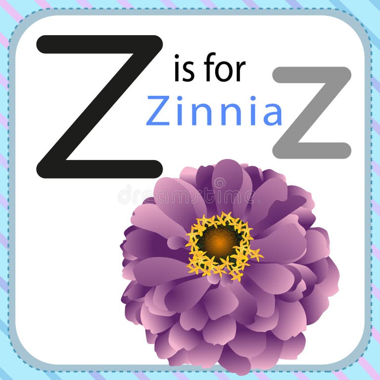 Alphabet Flashcards for Kids - Learning Capital Simple Letter Z is for ...