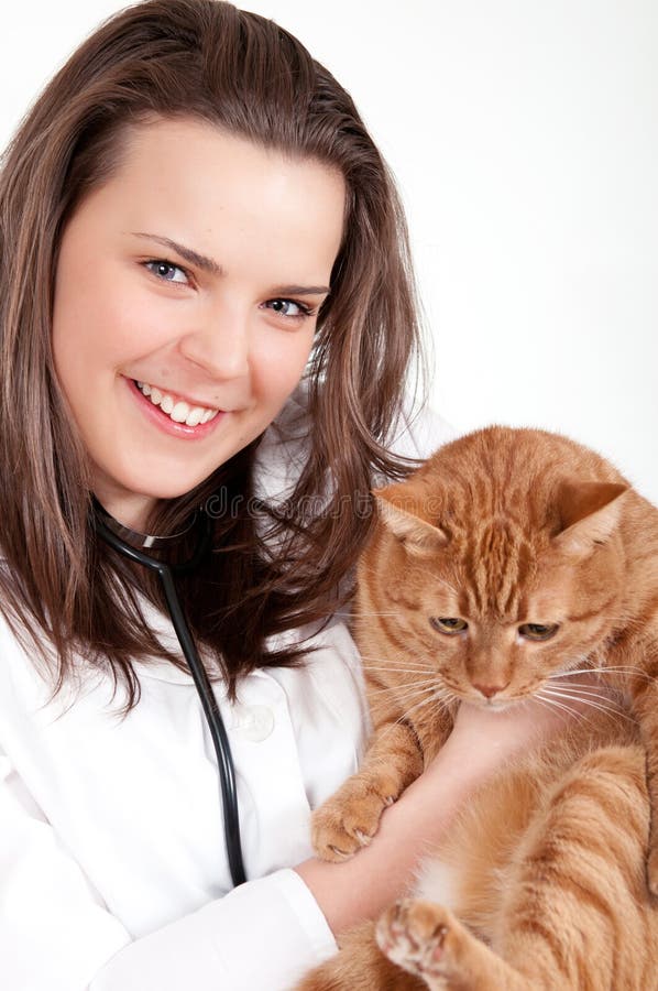 Vet and cat stock image. Image of medicine, laboratory - 18002755