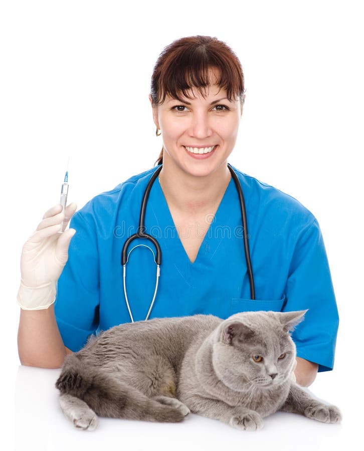 Vet And Cat - Getting A Vaccine. On White Background Stock Photo ...