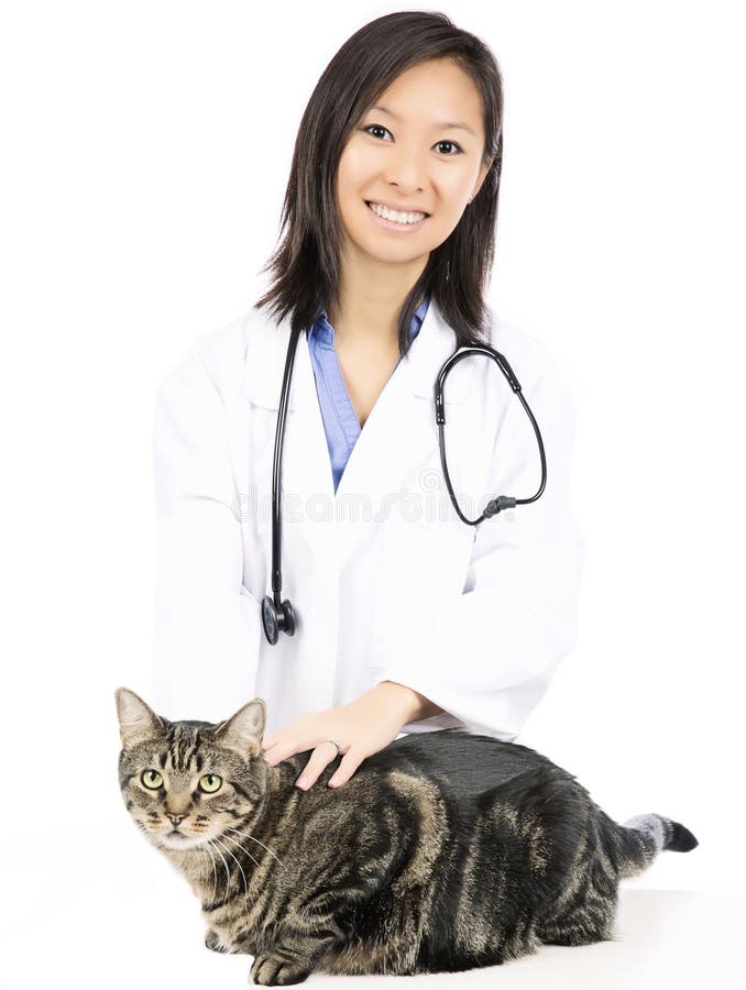 Vet and Cat stock image. Image of white, heart, stethoscope - 36543187