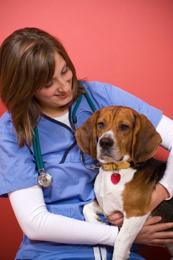 Vet Checkup stock image. Image of business, happy, diagnose - 10103223