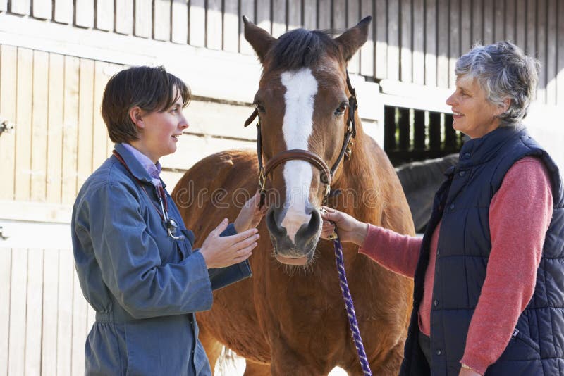 Vet in Discussion with Horse Owner Stock Image - Image of horizontal ...