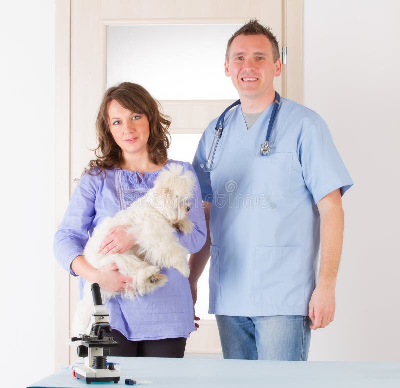 Vet dog and client stock photo. Image of health, person - 30453360
