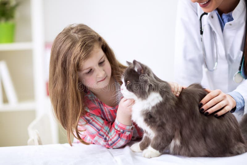 Vet Helping Little Kid with Cat Stock Photo - Image of female, doctor ...
