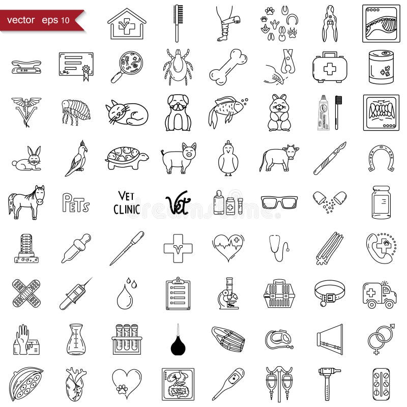 Vet Icons, Big Set, Flat Style Vector Stock Vector - Illustration of ...