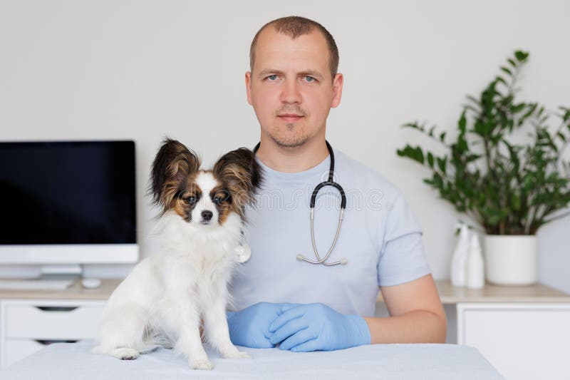 Vet and Dog in Medical Office with Computer Stock Image - Image of cute ...