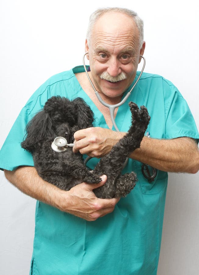 Vet and Patient stock image. Image of medicine, vertical - 27540447