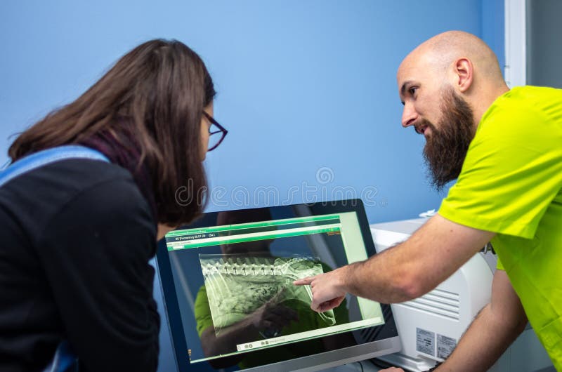 495 Chest Xray Computer Photos - Free & Royalty-Free Stock Photos from ...